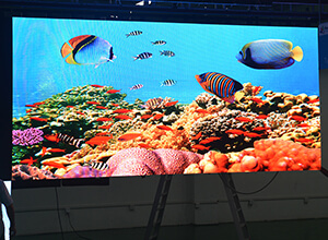 LED Display Solutions in India - Digital Signage Software